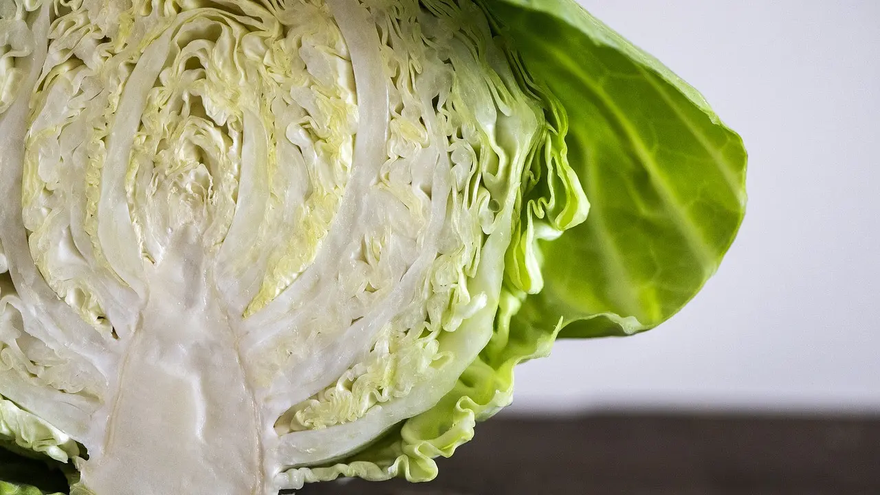 5 Resep Masakan Olahan Sayur Kubis ala Rumahan, Lezat dan Praktis ...
