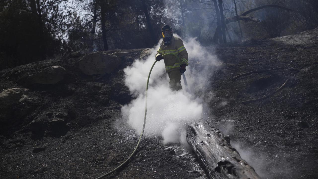 Kebakaran Hutan Israel Padam Setelah 30 Jam Status Darurat, Penyebab ...