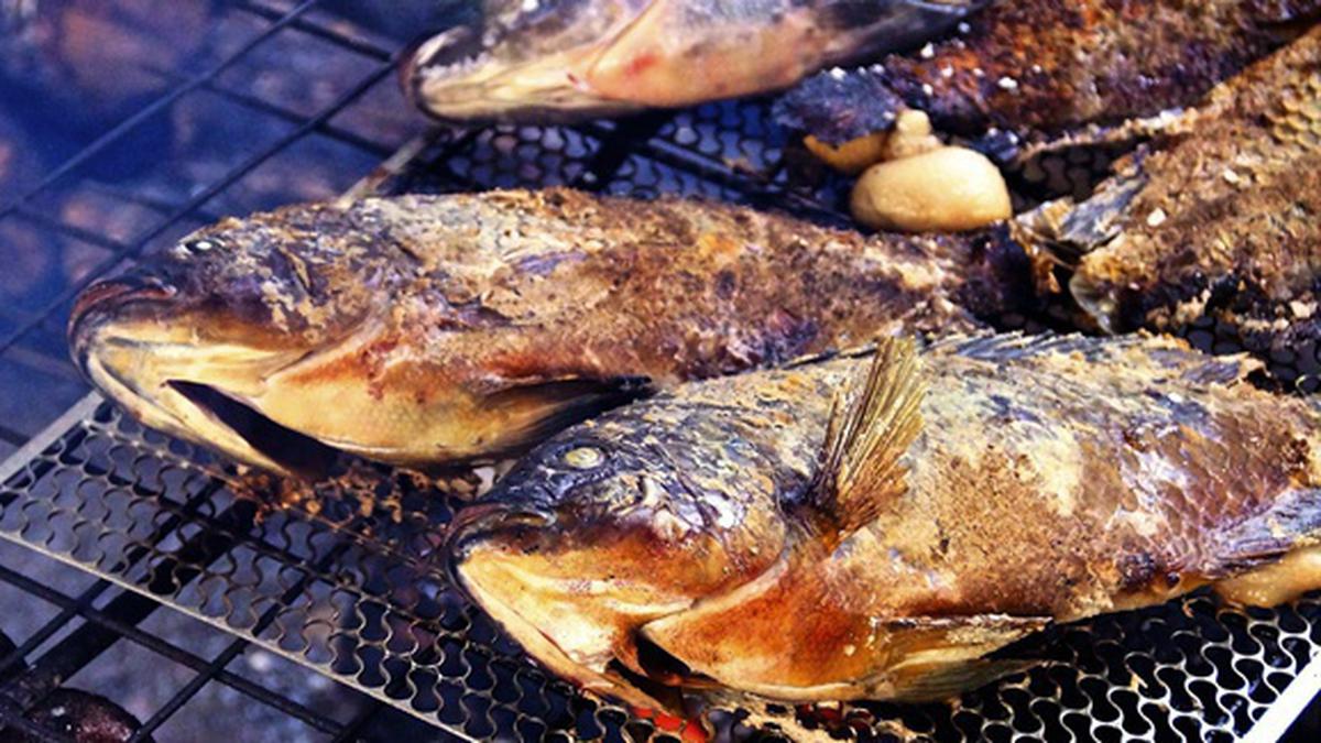 Awas! Gemar Konsumsi Ikan Bakar Tingkatkan Risiko Kanker Payudara ...