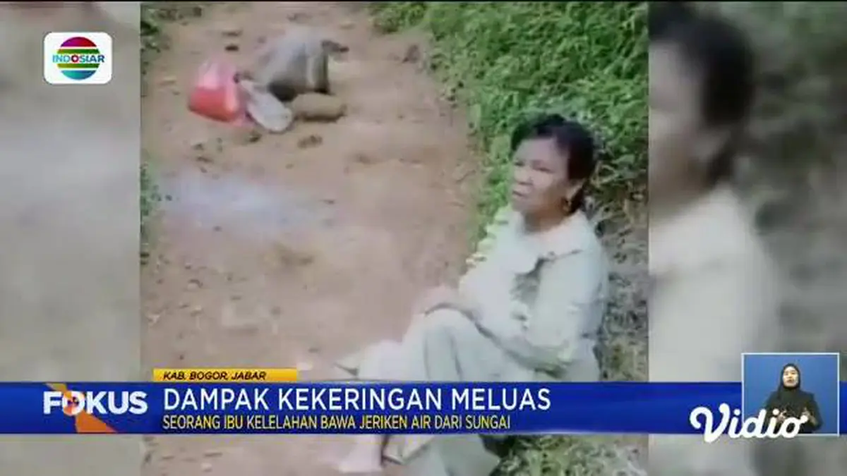 Berita Dampak Kekeringan Meluas Hari Ini - Kabar Terbaru Terkini | Liputan6.com