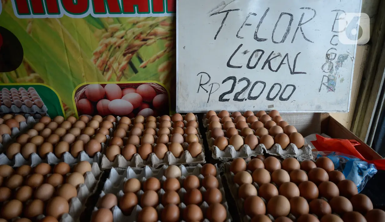 FOTO: Harga Telur Turun di Momen Libur Panjang - Foto Liputan6.com