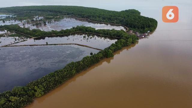 Delta Adalah Endapan di Muara Sungai, Kenali Jenis dan Proses Terbentuknya