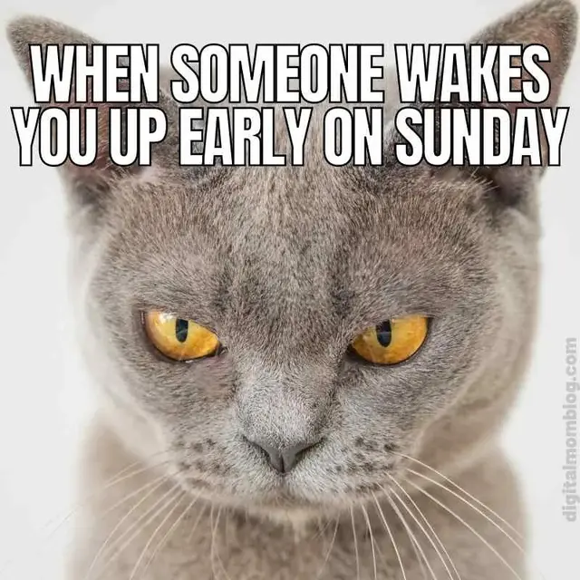 6 Meme Hari Minggu Ini Bikin Ketawa Kecut, Besok Udah Hari Senin - Hot ...