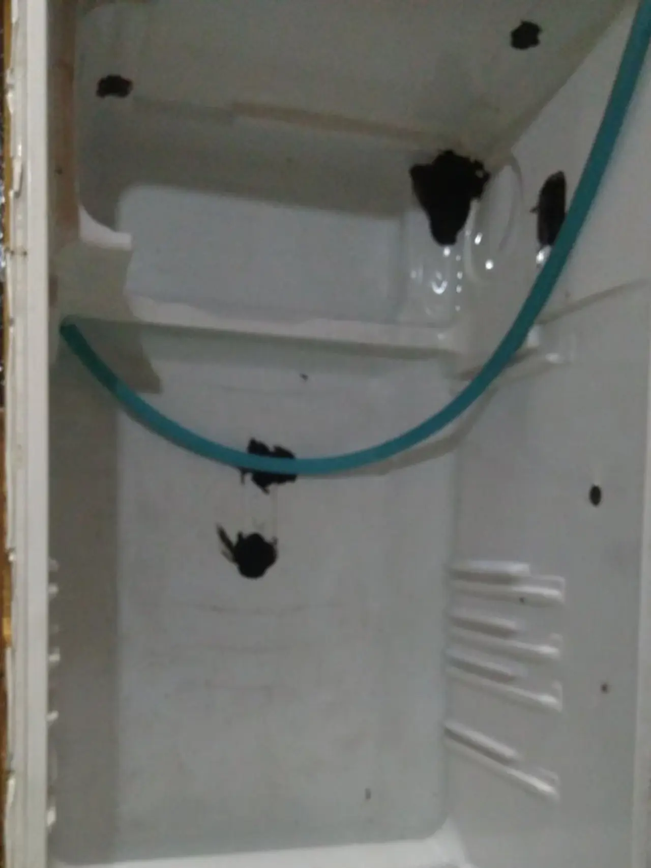 7 Potret Kulkas Rusak Jadi Lemari Ini Isinya Nyeleneh, Bikin Tepuk ...