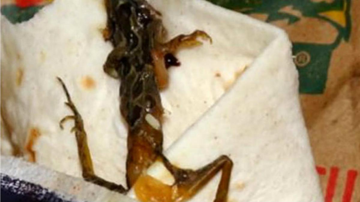Jijik, Restoran Ini Sajikan Roti Isi Ayam dengan Bangkai Kodok