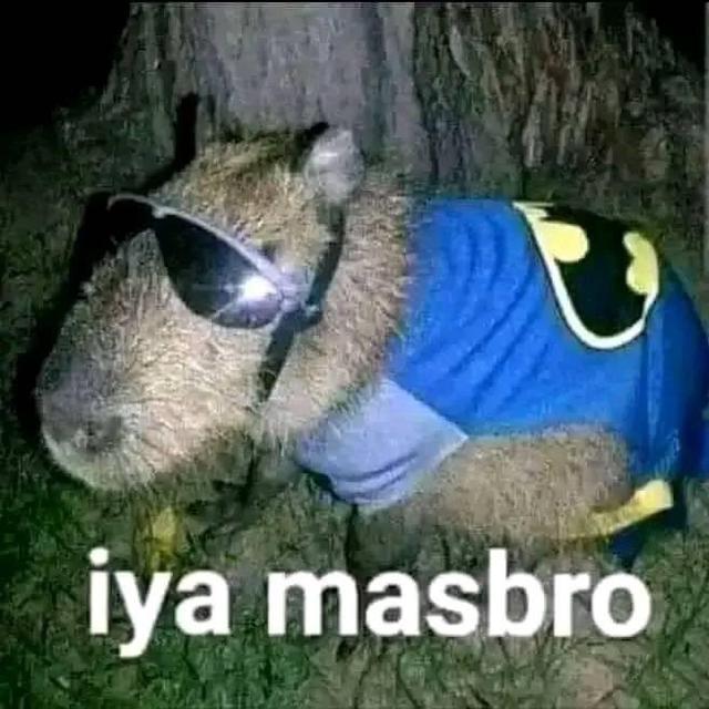 7 Meme Kocak Hewan Kapibara yang Dijuluki Mas Bro oleh Netizen Ini Imut