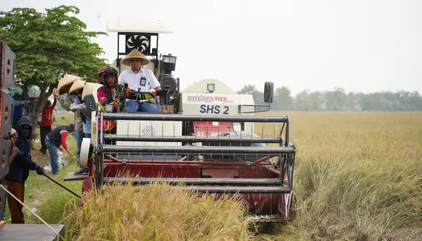 Profil Buwas, Mantan Kabareskrim Polri yang Jadi Dirut Perum Bulog 2 ...