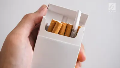 Unik! Rokok Daun Talas Bebas Cukai dan Nikotin, Dijual Rp 5.000 per ...