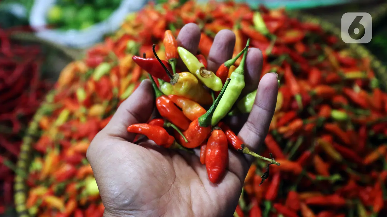 Harga Cabai Makin Pedas jelang Tahun Baru, Mendag Ungkap Biang Keroknya - Bisnis Liputan6.com