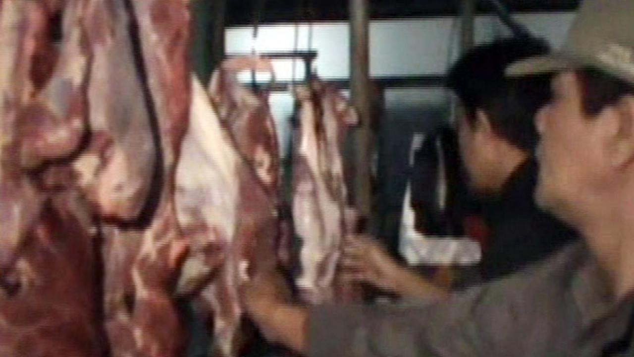 Identitas Pedagang Daging Celeng di Bogor Terungkap