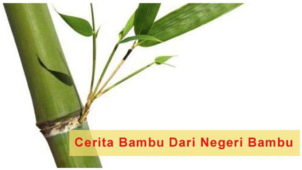 Cerita Bambu Dari Negeri Bambu - Lifestyle Fimela.com