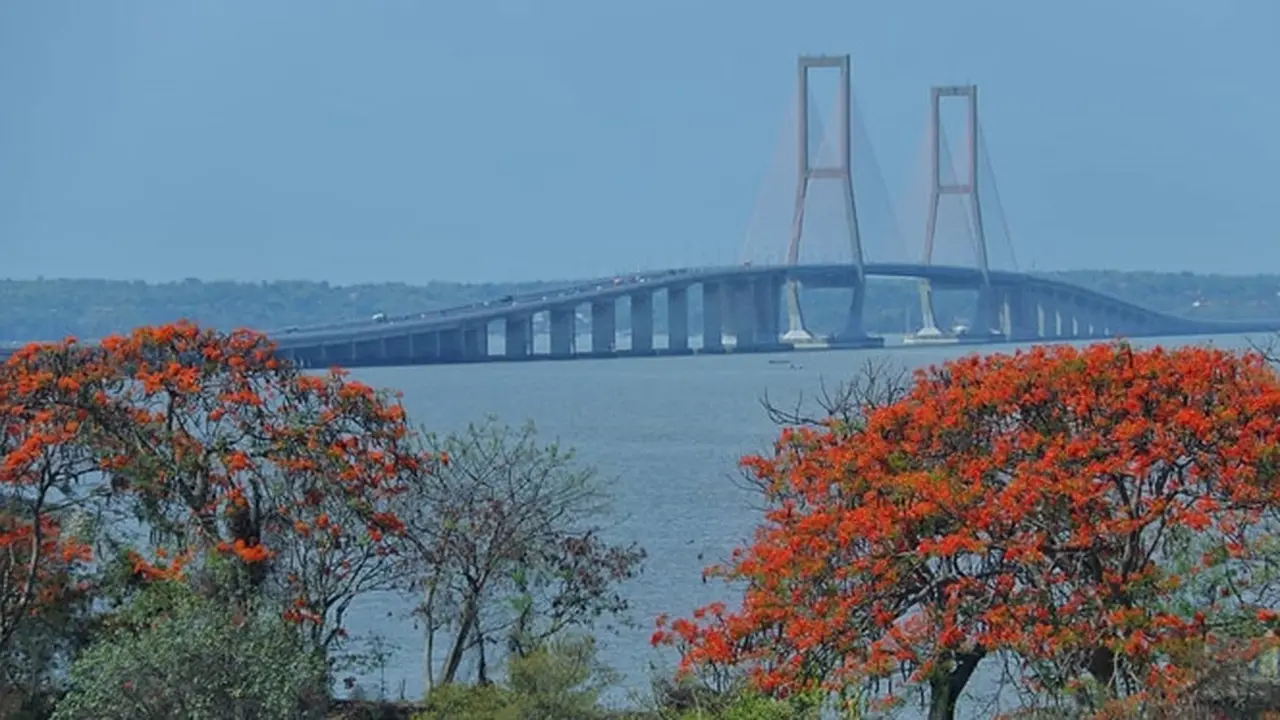 Bunga Flamboyan Mulai Bermekaran, Ini 5 Potret Surabaya Bak Negara ...