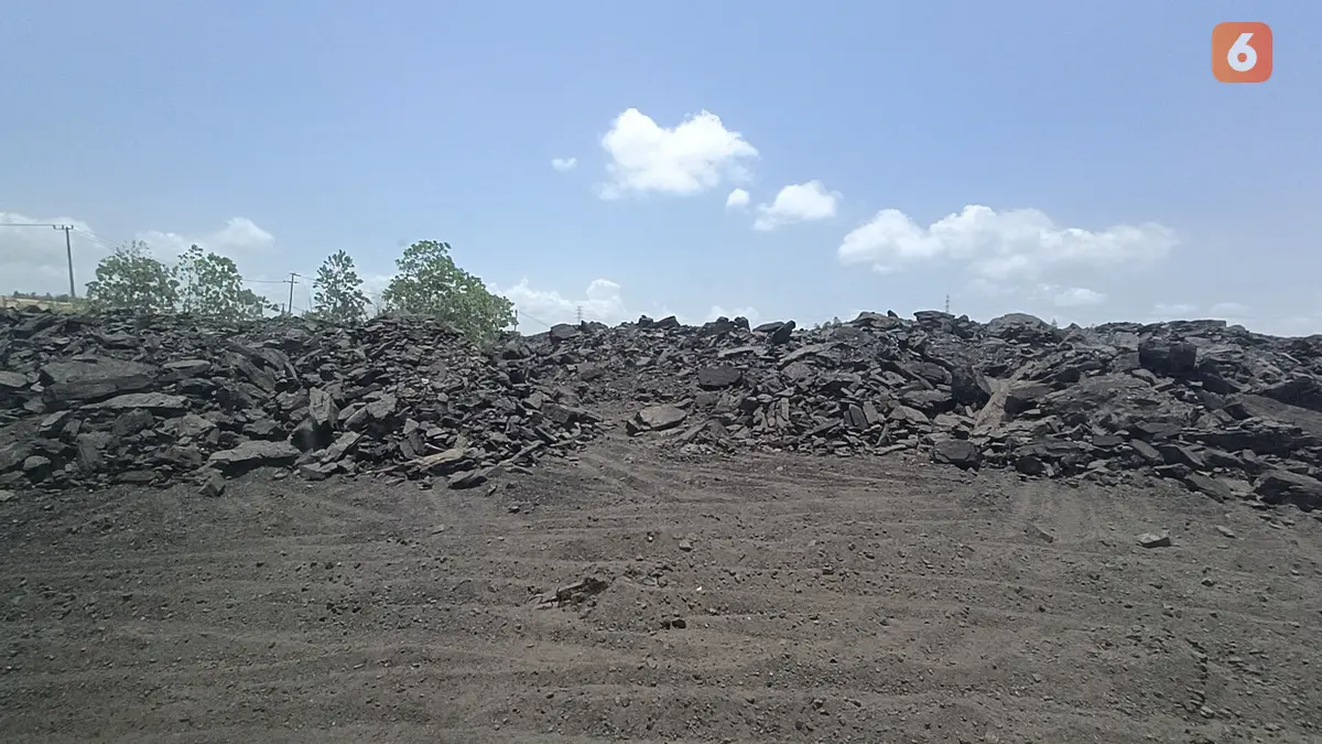 Berita hutan energi Hari Ini - Kabar Terbaru Terkini | Liputan6.com