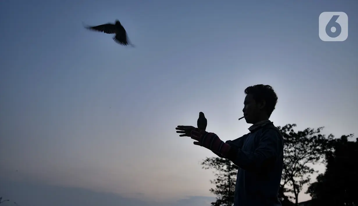 FOTO: Melatih Burung Terbang Bebas di Langit Jakarta - Foto Liputan6.com