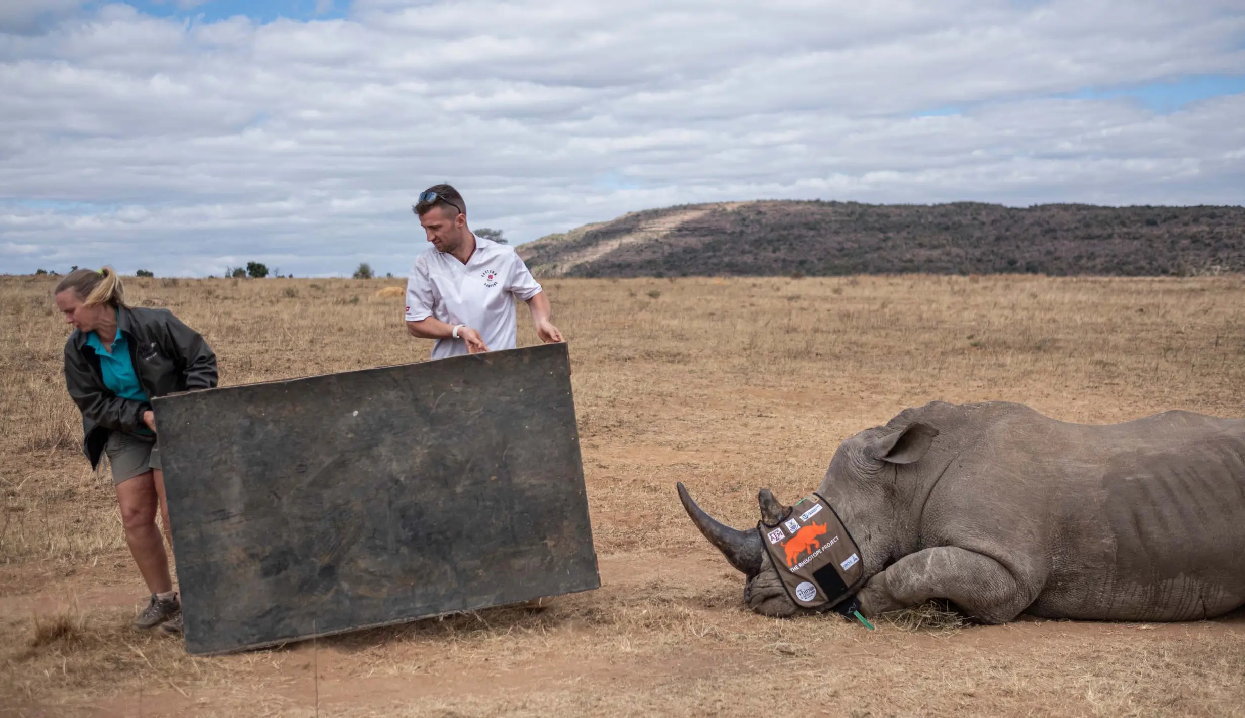Cegah Perburuan Liar, Badak di Afrika Selatan Disuntik Radioisotop ...