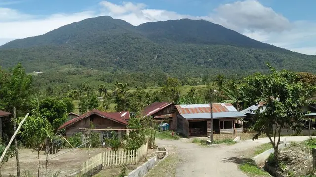 Fakta Menarik Gunung Lubuk Raya di Tapanuli Selatan yang Memiliki 7 Air ...