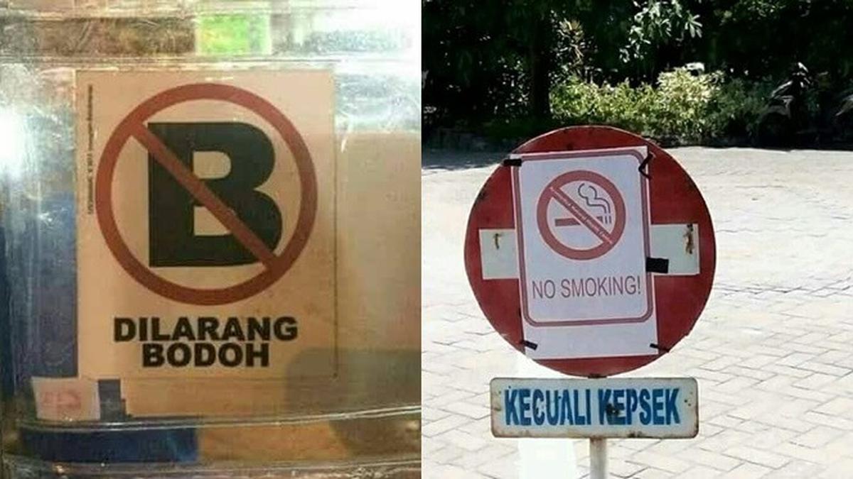 Gambar Lucu Dan Bodoh
