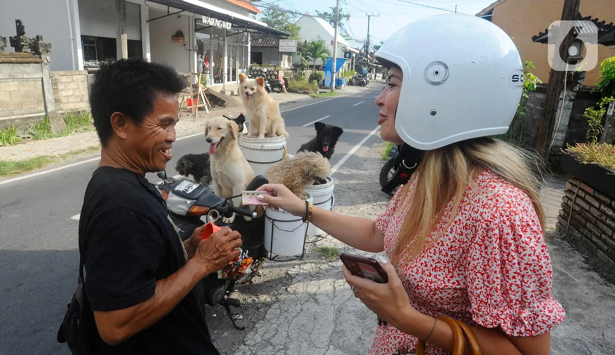 Sehari Bersama Ketut Lelut, Pria di Bali yang Rawat Puluhan Anjing ...