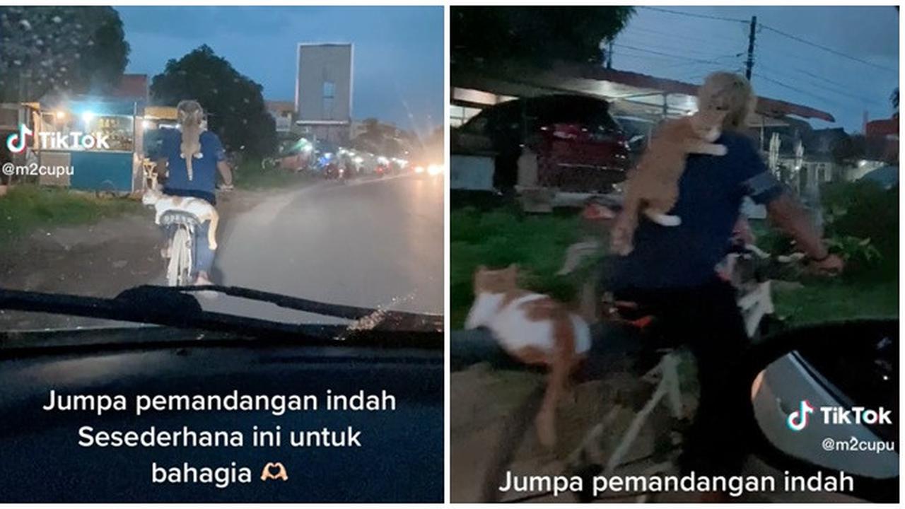Anteng Dibonceng Naik Sepeda, Interaksi Kucing dan Pemiliknya Ini Bikin ...