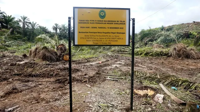 Eksekusi Lahan PTPN IV di Simalungun Lancar, Suguh Hati Mengalir untuk Penggarap - Regional ...