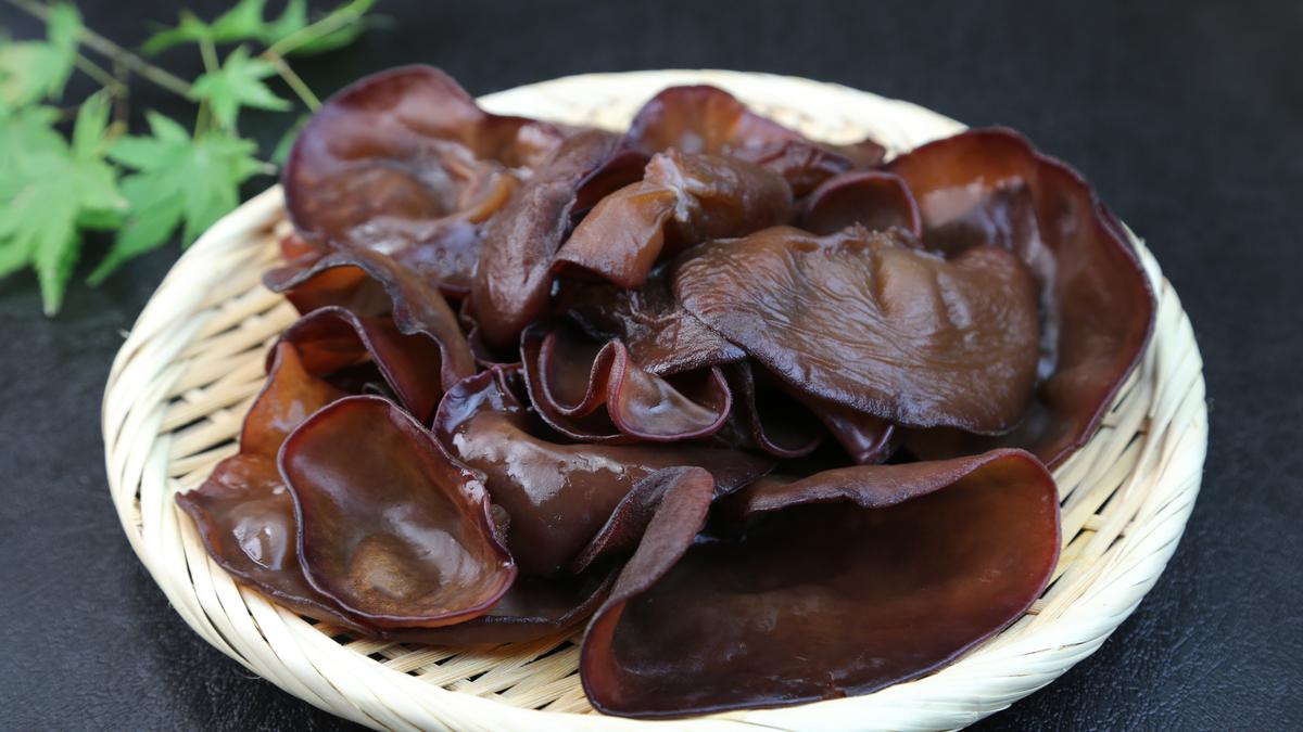 Tips Praktis Membuat Jamur Kuping Kering Siap Masak dalam Waktu Singkat ...