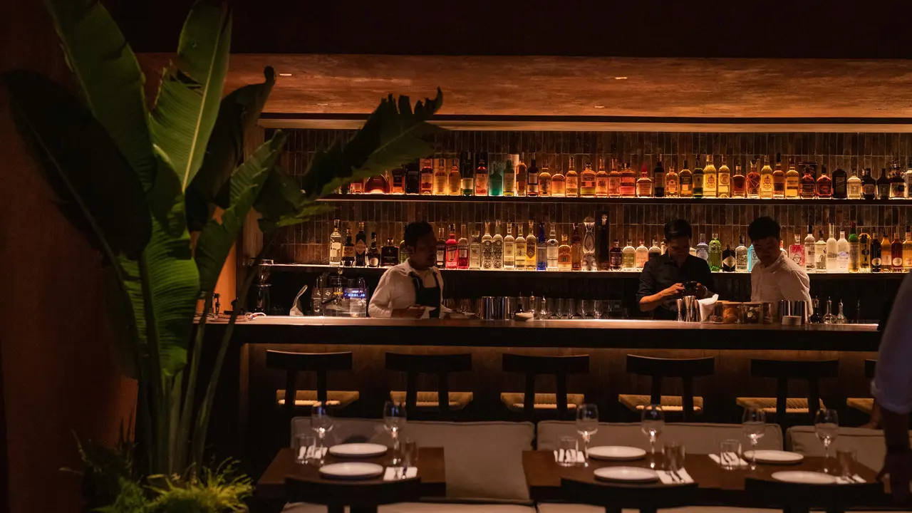 Bar Vera, Rekomendasi Tempat Hangout Ala Muda-Mudi Paris