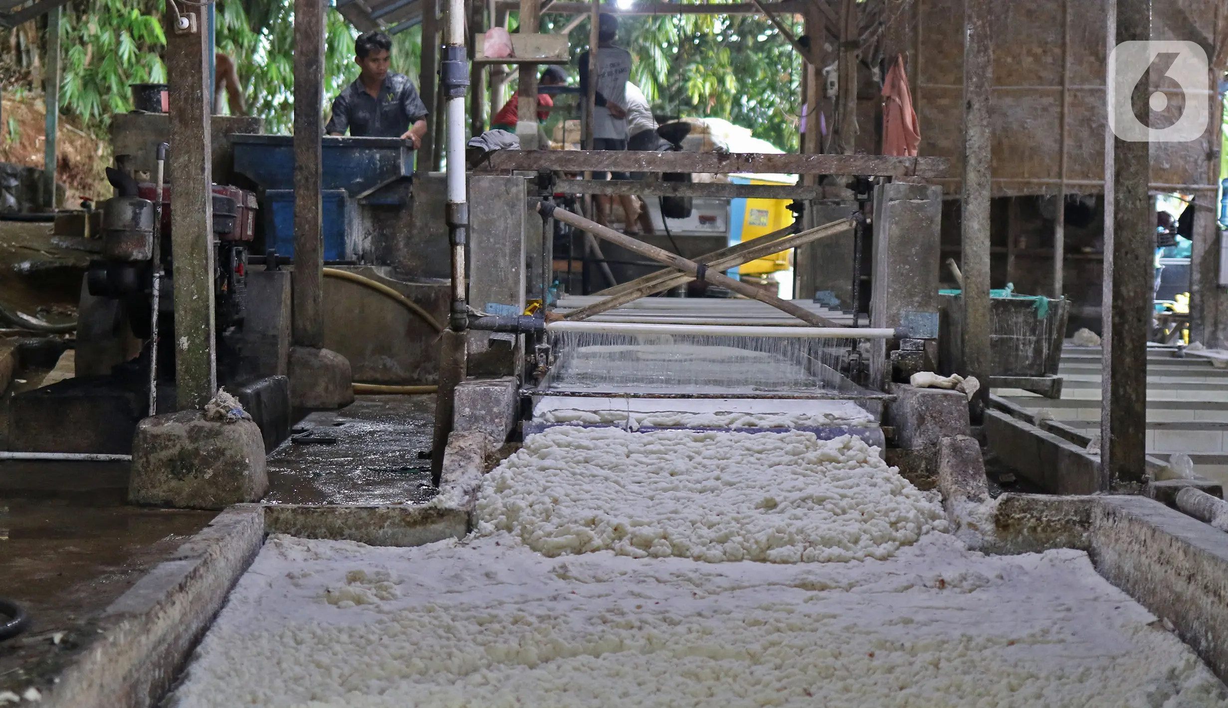 FOTO: Industri Pembuatan Tepung Tapioka Terdampak Pandemi COVID-19 ...
