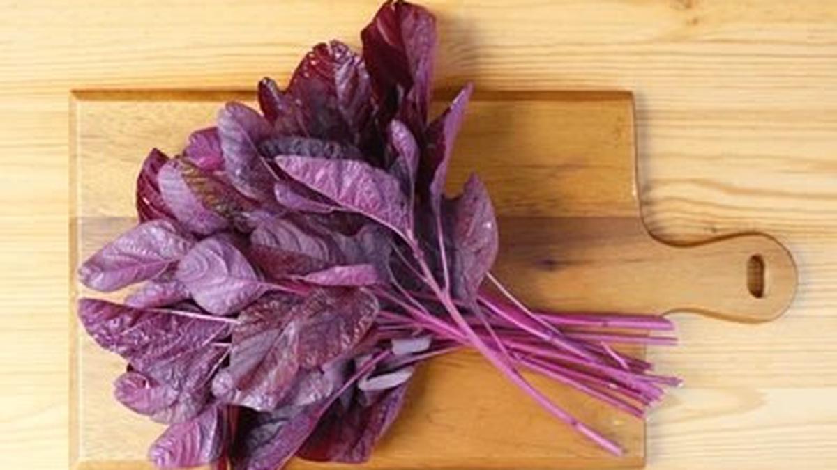 Manfaat Bayam Merah yang Jarang Diketahui, Baik untuk Kesehatan Tubuh ...