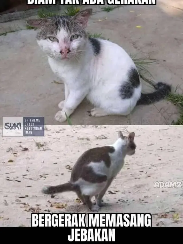 7 Meme Diam Bergerak Ini Banyak Terjadi di Dunia Nyata - Hot Liputan6.com