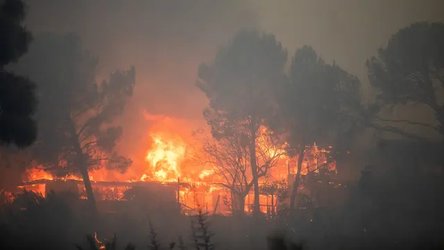 Jumlah Korban Tewas Akibat Kebakaran Hutan Los Angeles Bertambah ...