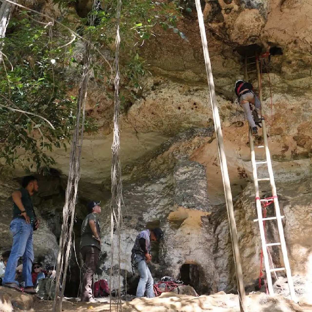 Lukisan Gua Prasejarah Berusia 51.200 Tahun dari Sulawesi Indonesia ...
