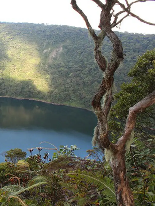 6 Fakta Menarik Gunung Masurai di Jambi yang Satu Kawasan dengan Gunung ...