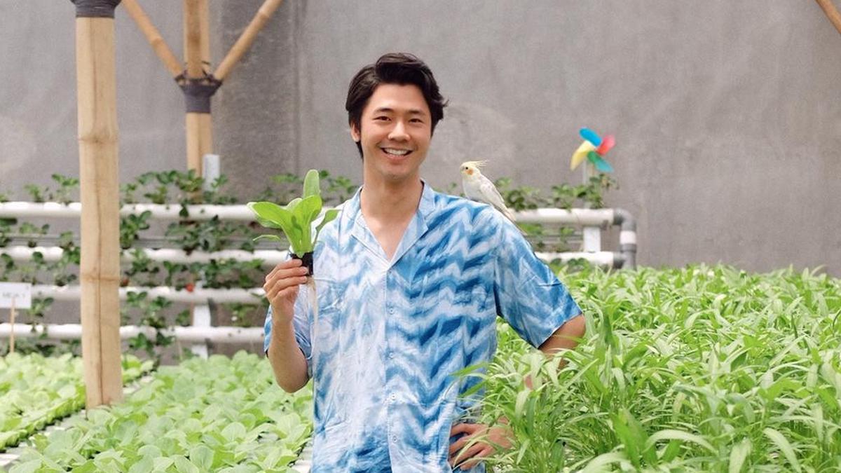 Penyanyi Han Chandra Sulap Lahan Bekas Penampungan Barang Tak Terpakai ...