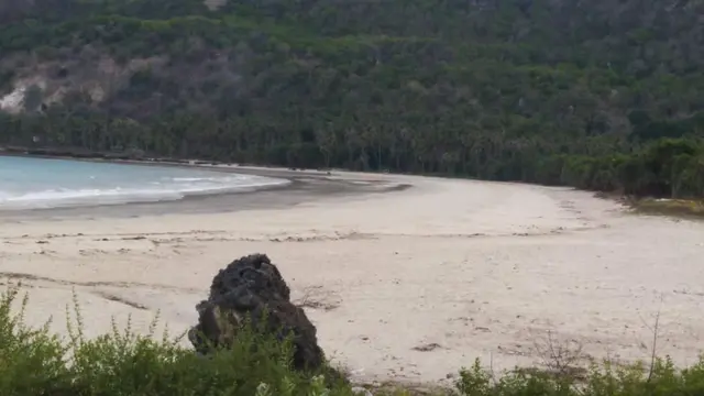 Fenomena Mujair Hidup di Laut Mati Rote Ndao - Regional Liputan6.com