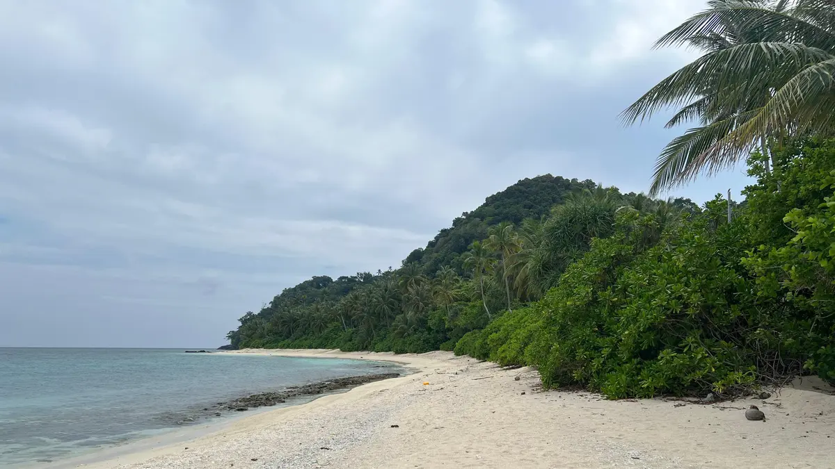 Berita Pulau Senua Hari Ini - Kabar Terbaru Terkini | Liputan6.com