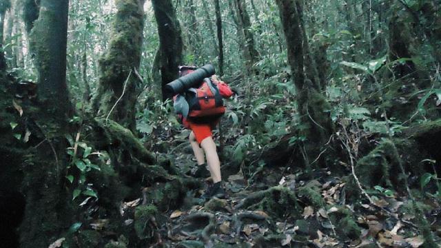 6 Fakta Menarik Gunung Halau-Halau di Kalimantan Selatan yang Dianggap ...
