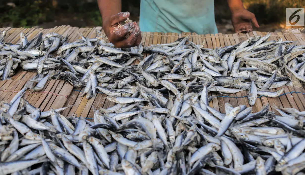 FOTO: Musim Kemarau, Produksi Ikan Asin Muara Angke Meningkat - Foto Liputan6.com