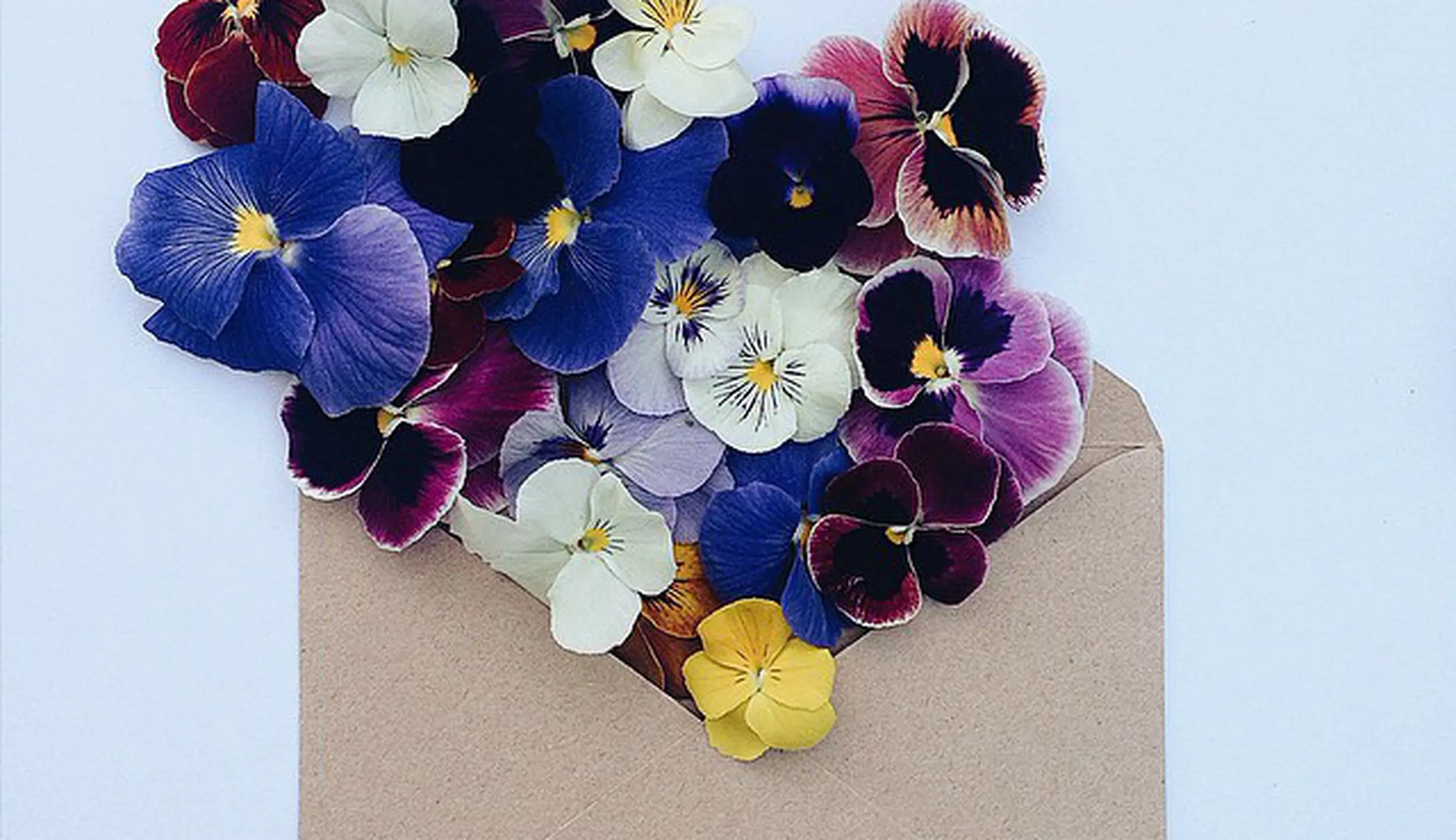 Manfaatkan Amplop Bekas Dan Bunga, Seniman Ini Buat Hiasan Cantik Untuk ...