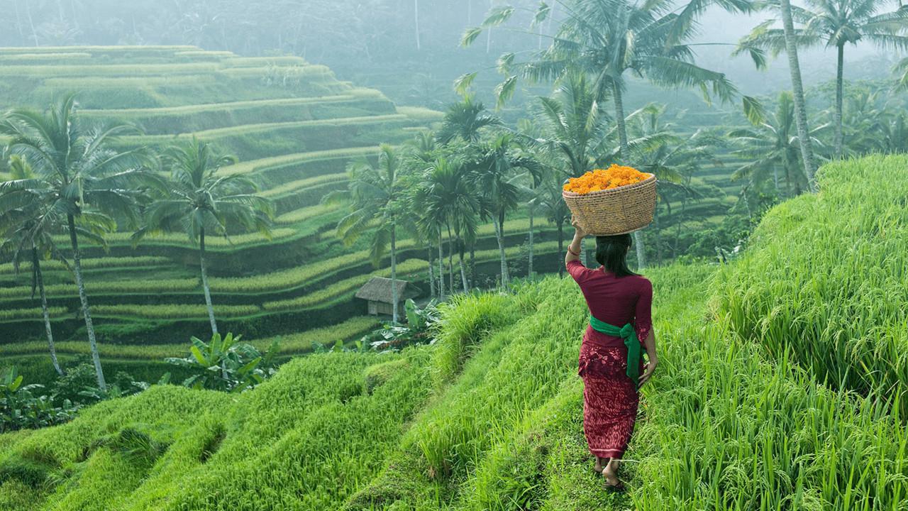 18 Tempat Wisata di Bali yang Wajib Dikunjungi 2025