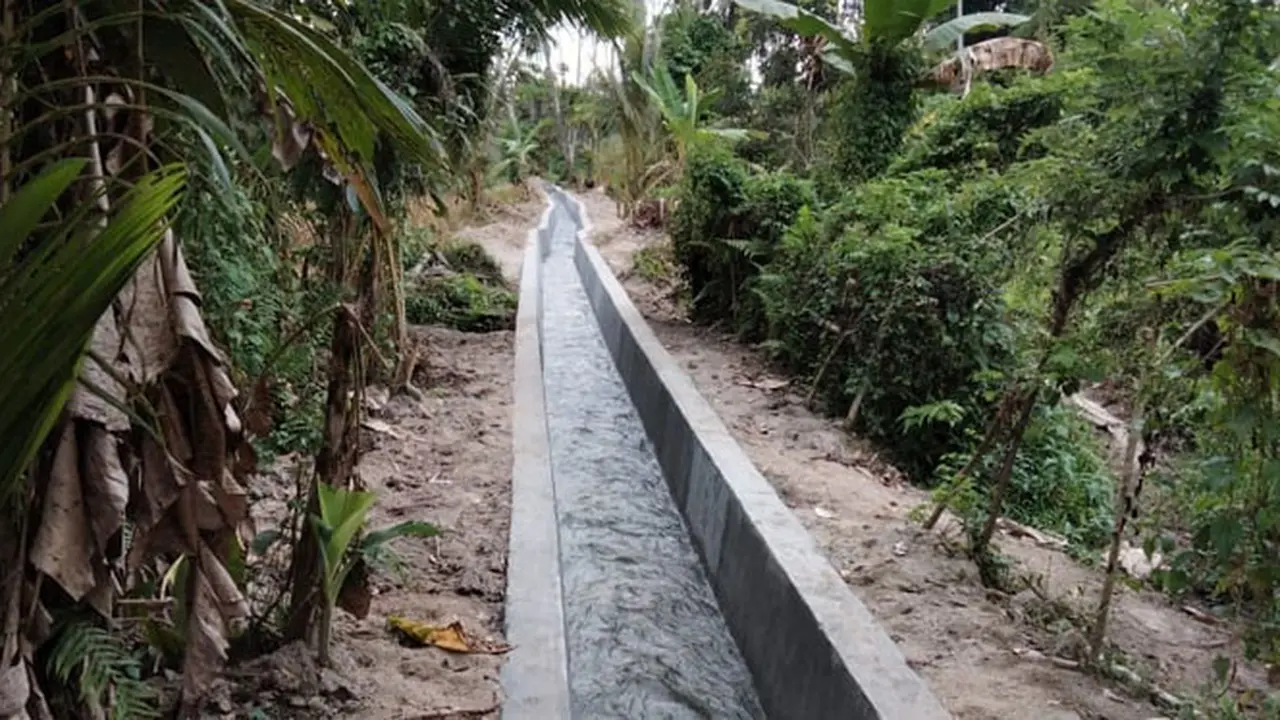 Kementan Dukung Pertanian Toli Toli dengan RJIT - Bisnis Liputan6.com