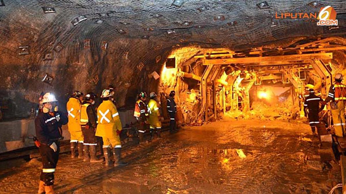 Fakta-fakta di Balik Sistem Keamanan Tambang Emas Freeport - Bisnis ...
