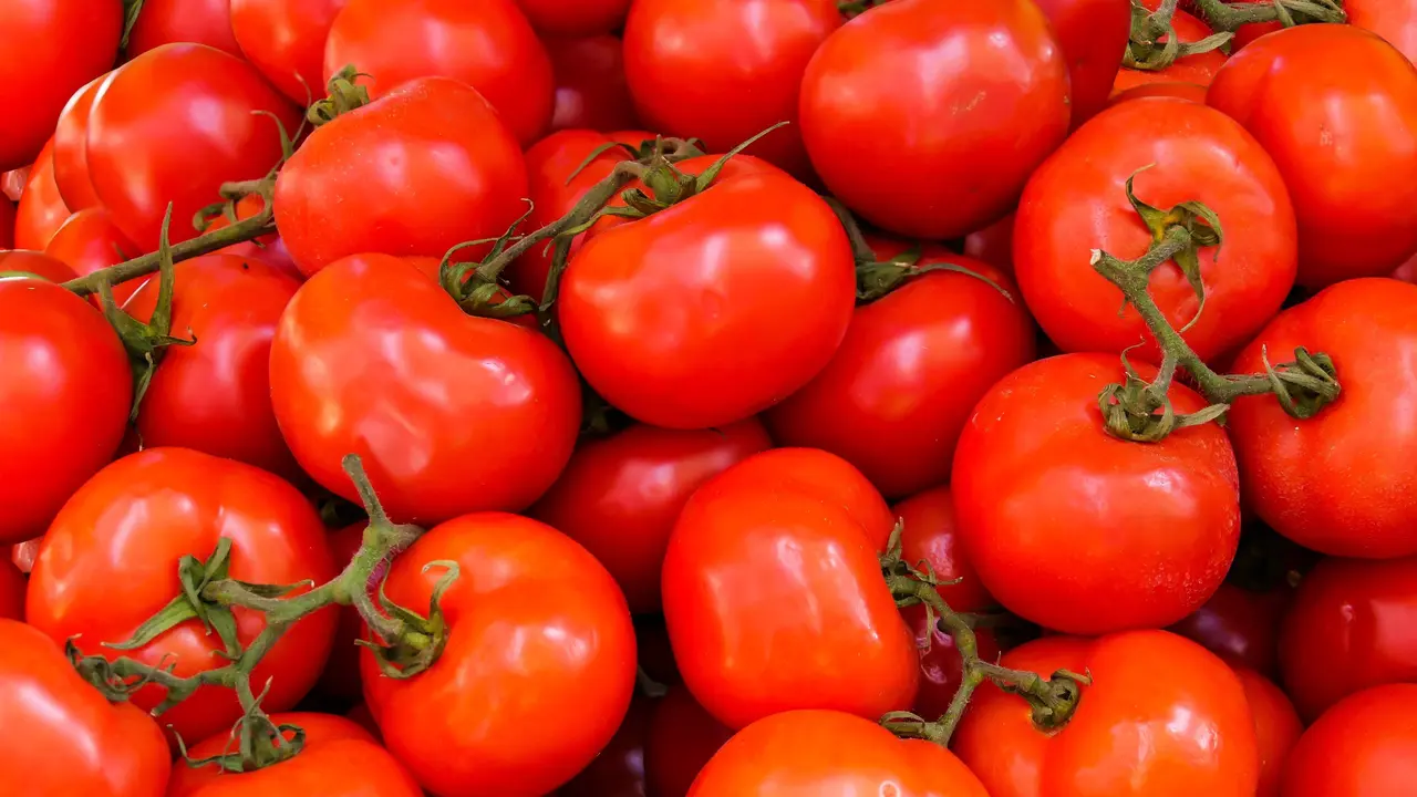 7 Cara Membuat Jus Tomat Sehat Dengan Berbagai Bahan, dari Apel Hingga ...