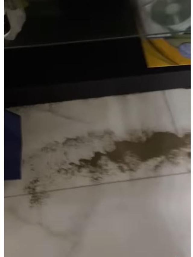 6 Potret Anisa Bahar Alami Kejadian Aneh di Rumah, Muncul Belatung ...