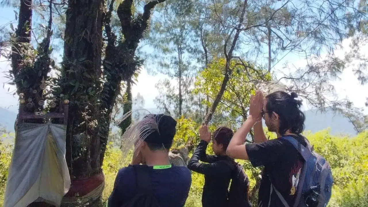 6 Fakta Menarik Gunung Pohen di Bali yang Merupakan Cagar Alam Batukahu ...