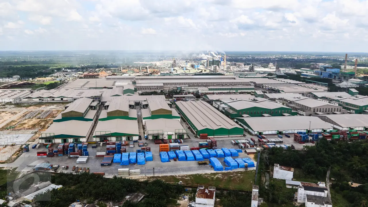 Indonesia Bisa Kuasai Pangsa Pasar Produk Kertas Dunia - Bisnis ...