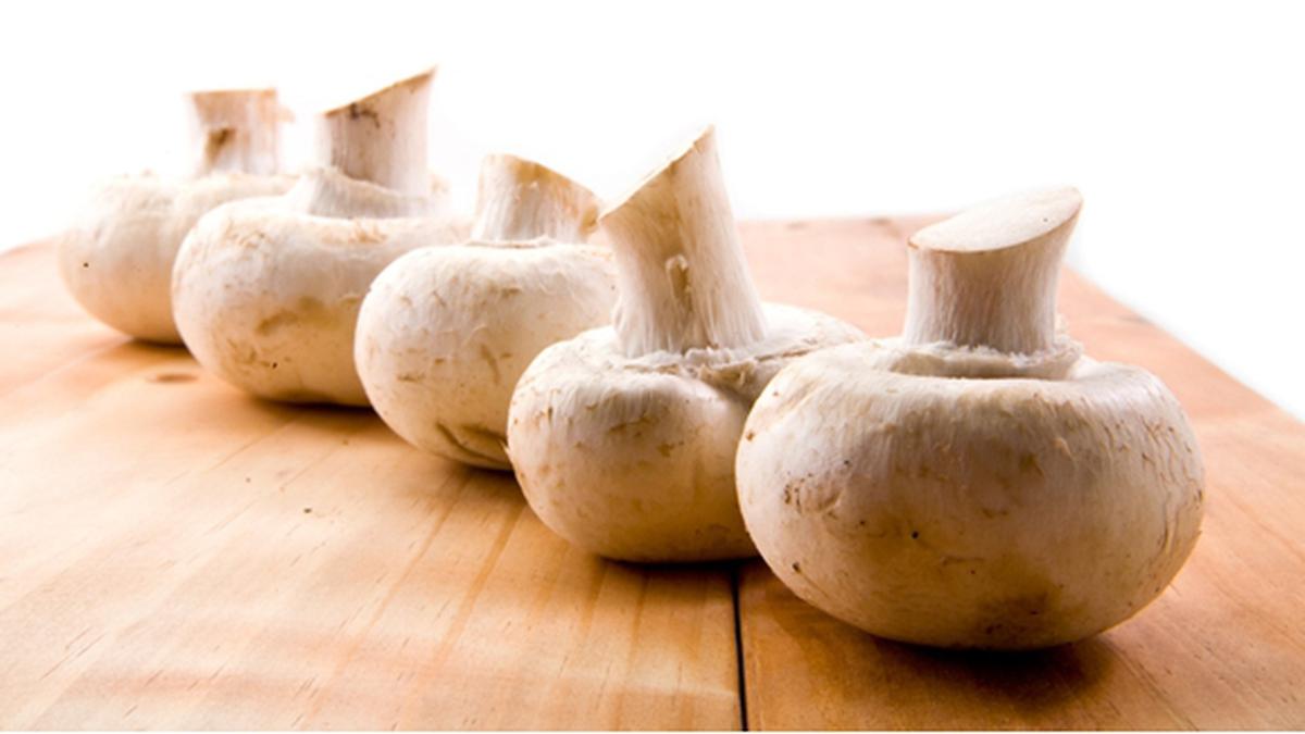 Nutrisi Lengkap Yang Dikandung Jamur Kancing - Beauty Fimela.com