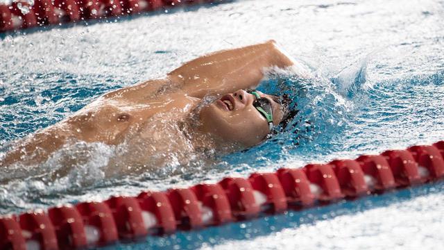 Gandeng Asosiasi Pelatih Renang Amerika, PRSI DIY Gelar Pelatihan ...