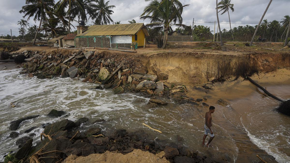 Akibat Utama Erosi Tanah adalah Kerusakan Lingkungan, Ini Langkah ...