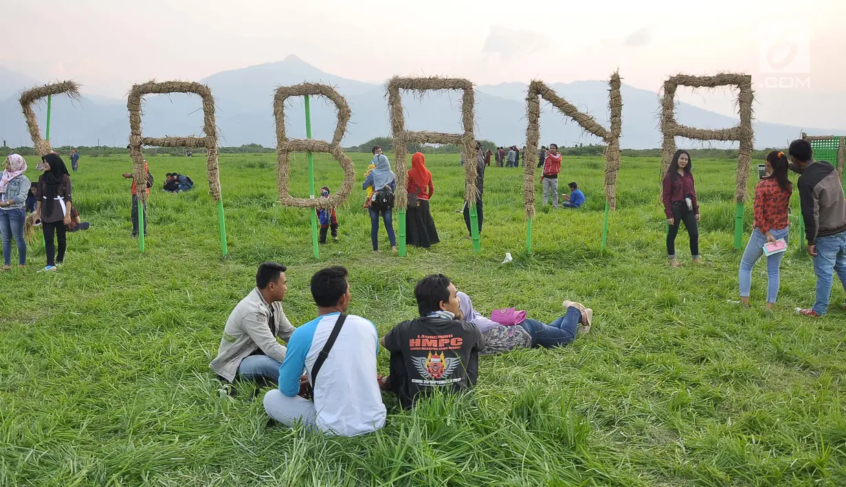 FOTO: Musim Kemarau, Danau Rawa Pening Berubah Jadi Sabana - Foto ...