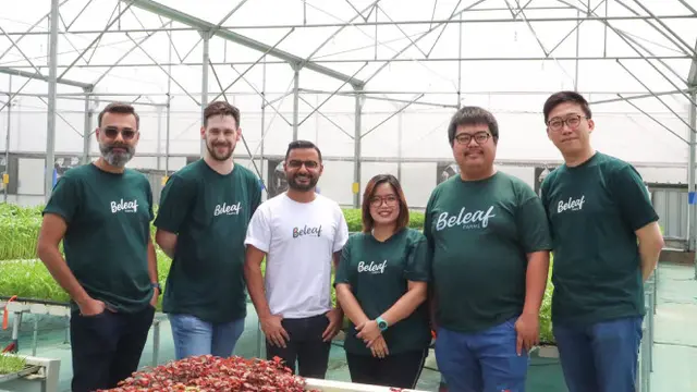Perjalanan Startup Beleaf hingga Raih Pendanaan Rp 30 Miliar dari Alpha ...